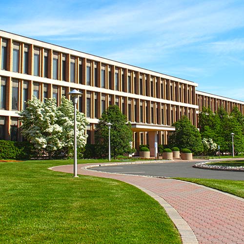 Executive Leadership Team | NJM